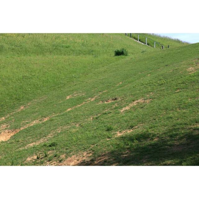 その他 – sozaiya.com