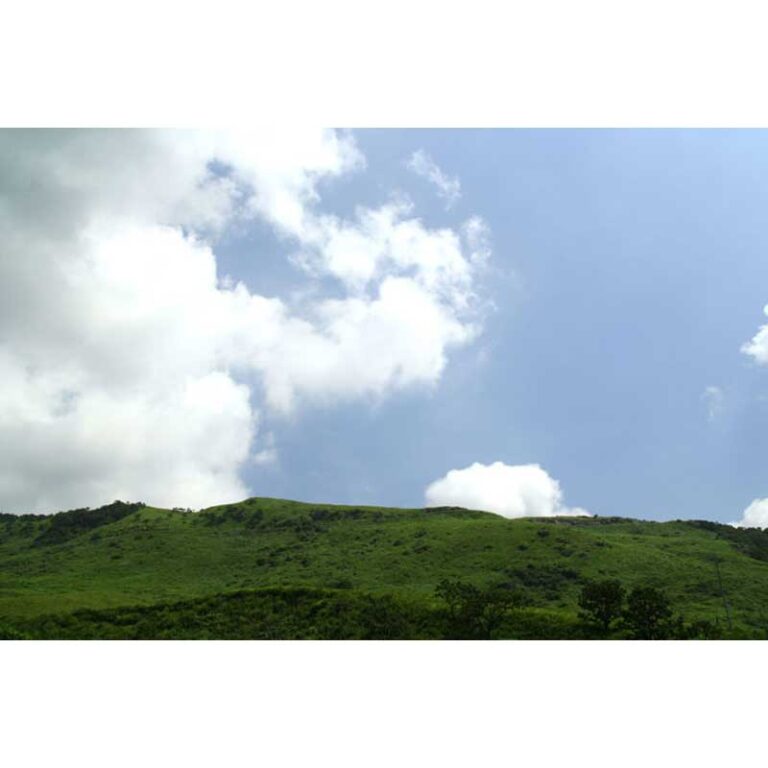 その他 – sozaiya.com