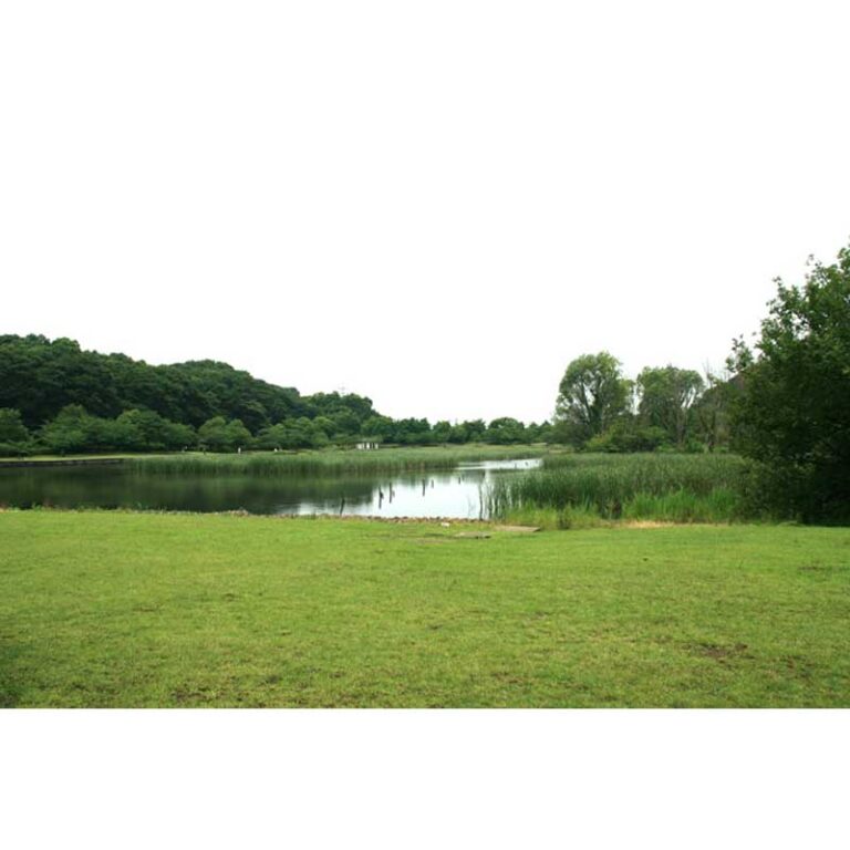 無料データ – ページ 7 – sozaiya.com