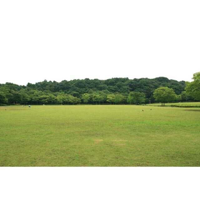 無料データ – ページ 7 – sozaiya.com