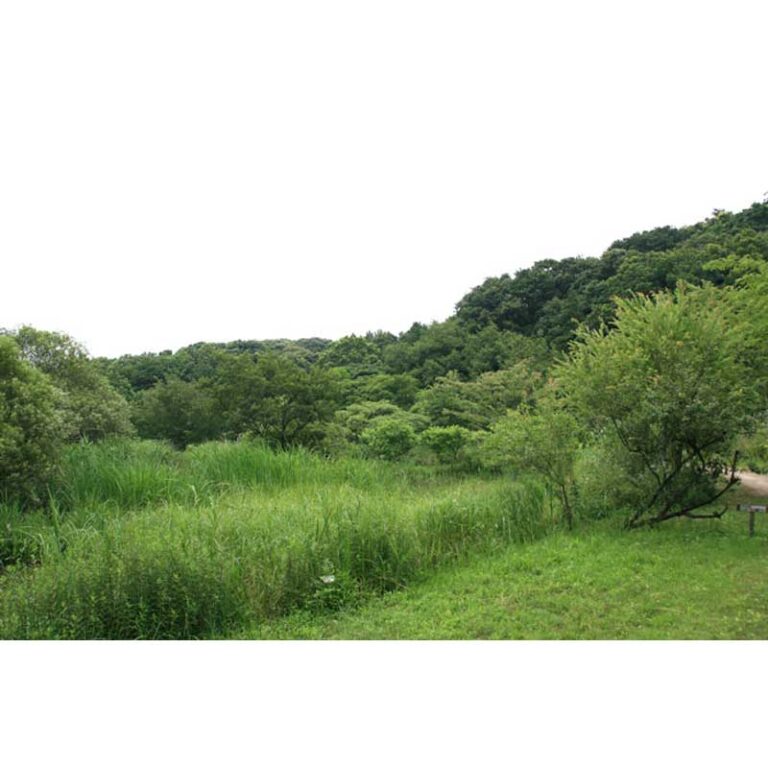 無料データ – ページ 7 – sozaiya.com