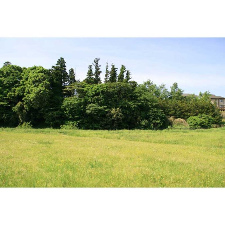 無料データ – ページ 7 – sozaiya.com