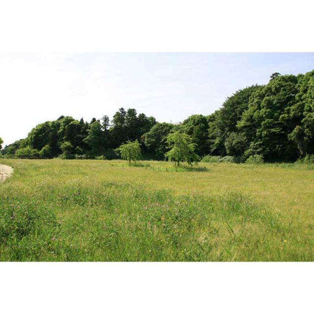 P0167 – sozaiya.com