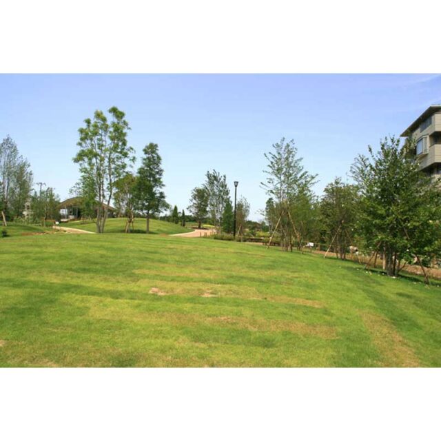 P0168 – sozaiya.com