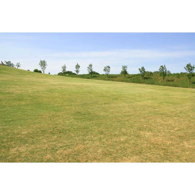 無料データ – ページ 7 – sozaiya.com