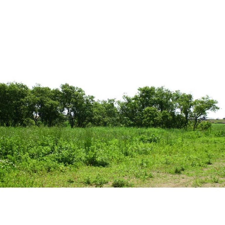 その他 – sozaiya.com