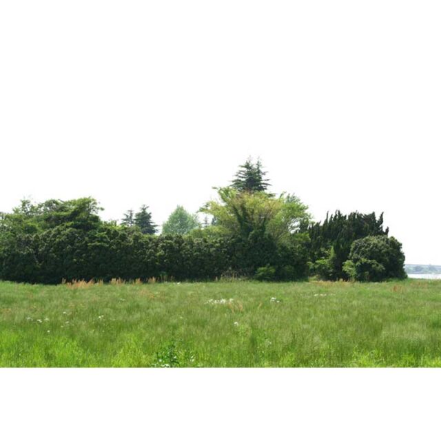 P0174 – sozaiya.com