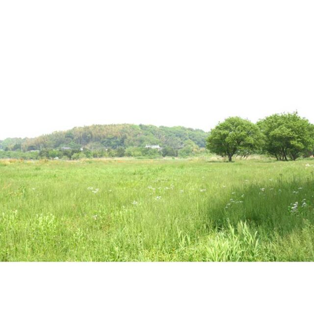 P0178 – sozaiya.com