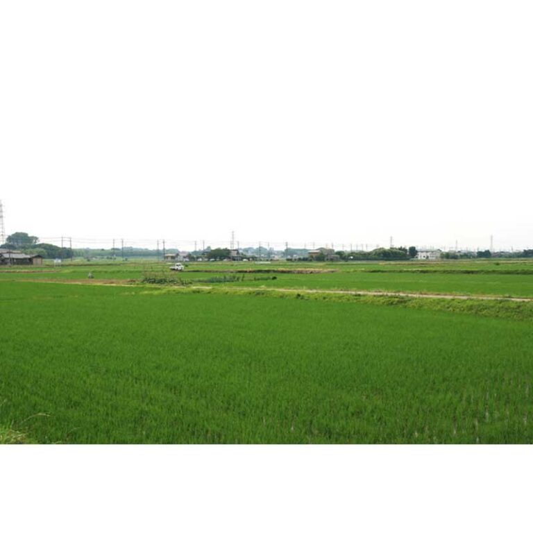 その他 – sozaiya.com