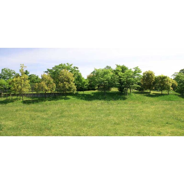 P0180 – sozaiya.com