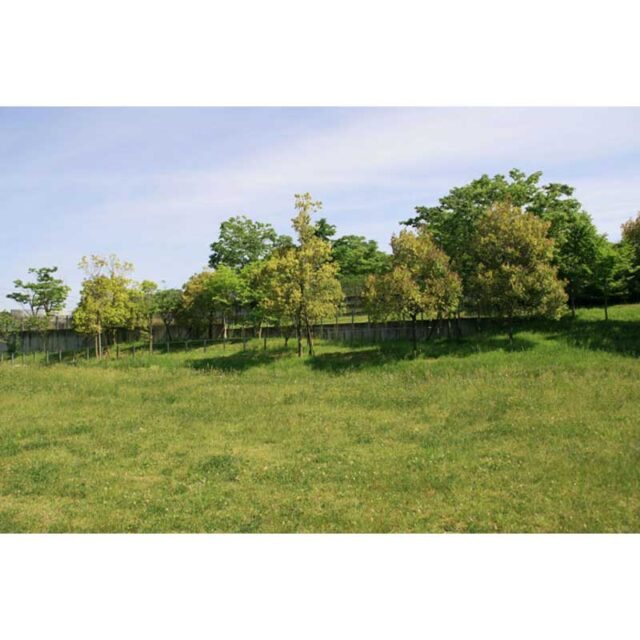 P0181 – sozaiya.com