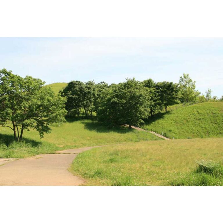 その他 – sozaiya.com