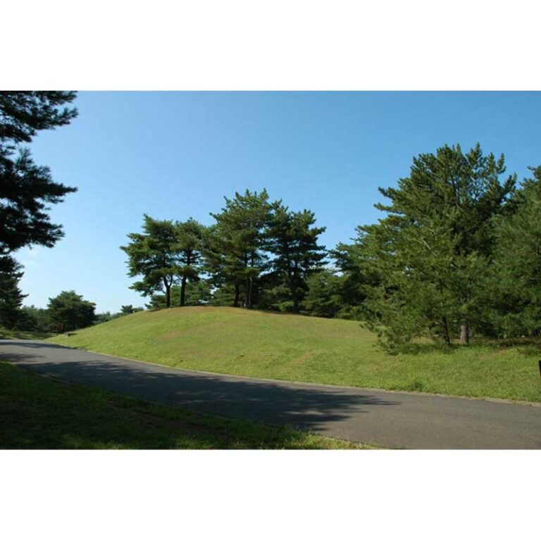 P0185 – sozaiya.com