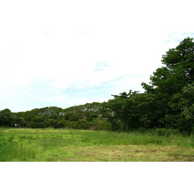 その他 – sozaiya.com