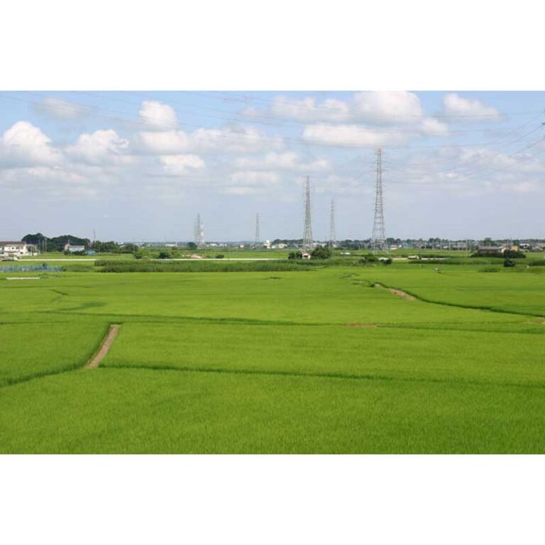 P0188 – sozaiya.com