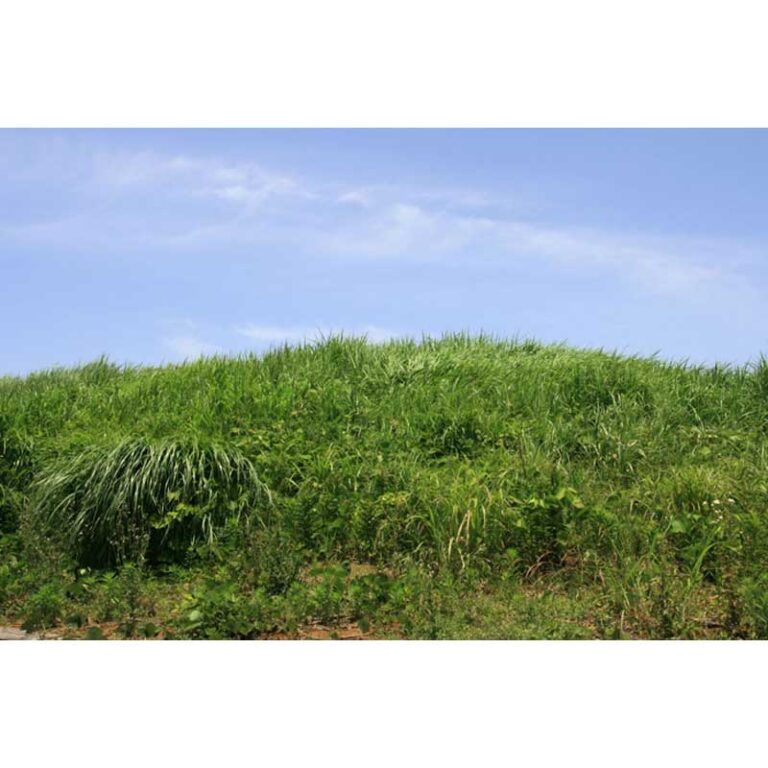 その他 – ページ 2 – sozaiya.com