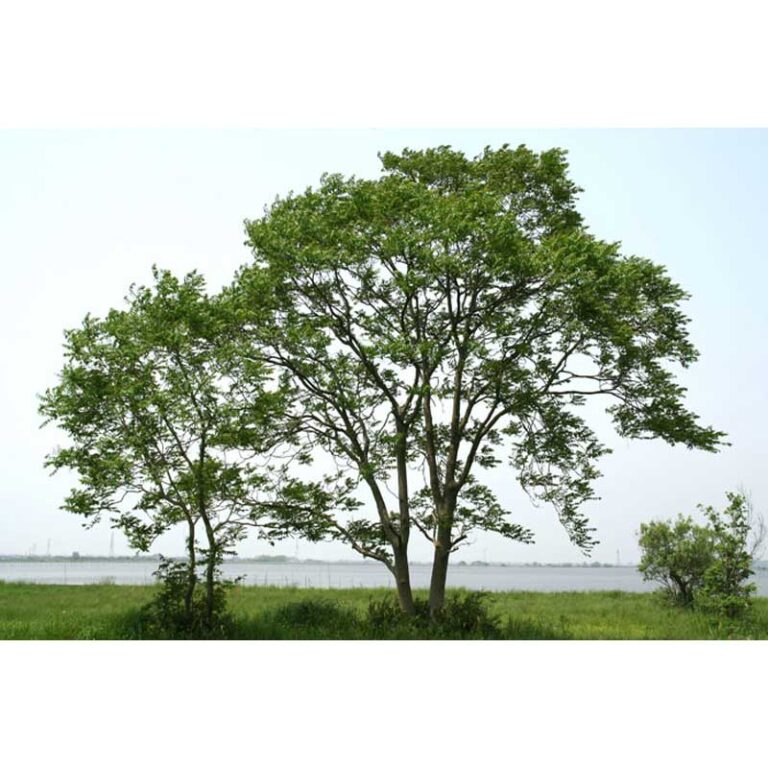 その他 – sozaiya.com