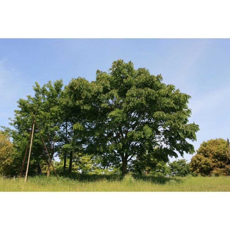 その他 – ページ 2 – sozaiya.com