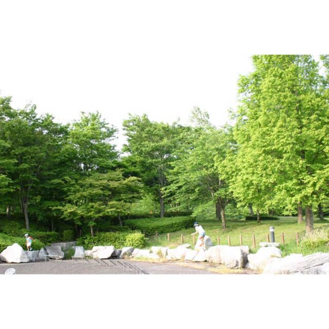 P0202 – sozaiya.com