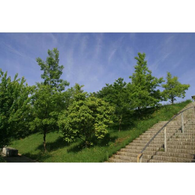 その他 – sozaiya.com