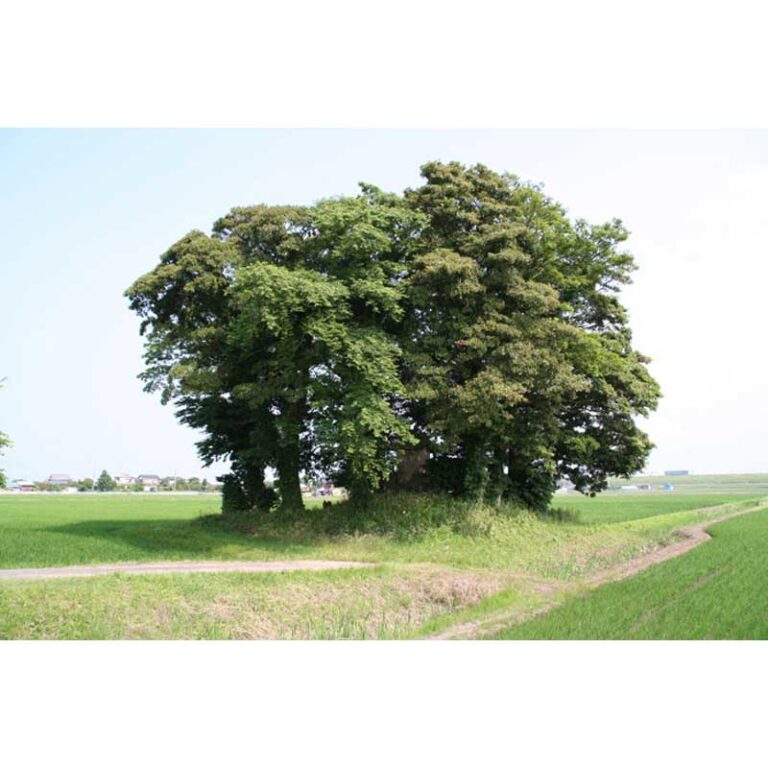 その他 – sozaiya.com