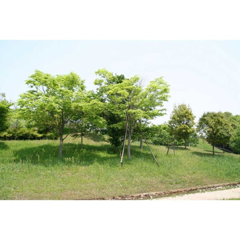 その他 – sozaiya.com