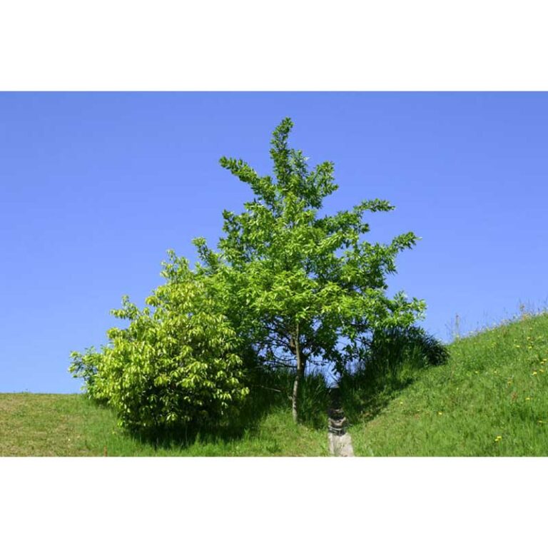 その他 – sozaiya.com