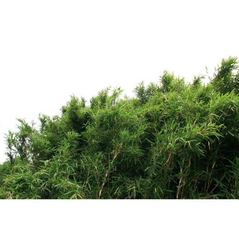 その他 – sozaiya.com