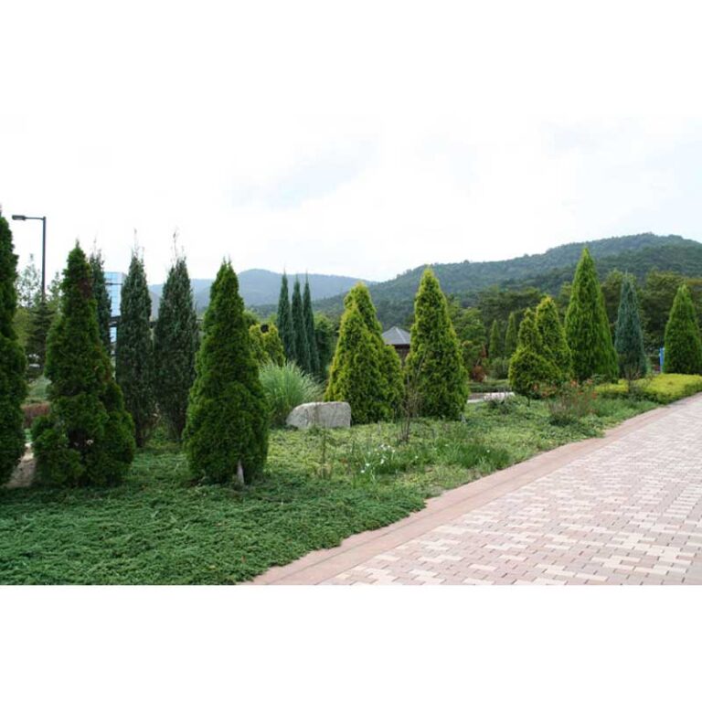 その他 – sozaiya.com