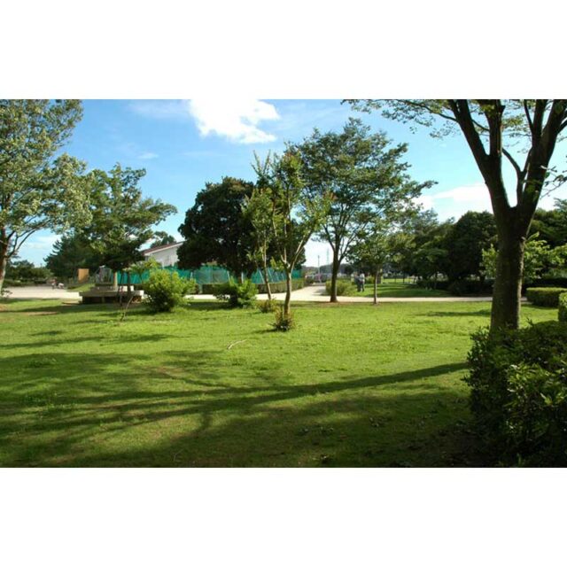 P0238 – sozaiya.com