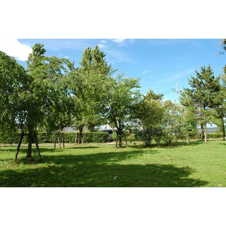 その他 – sozaiya.com