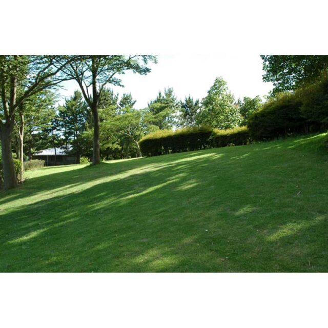 P0241 – sozaiya.com