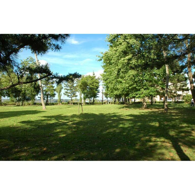 P0245 – sozaiya.com