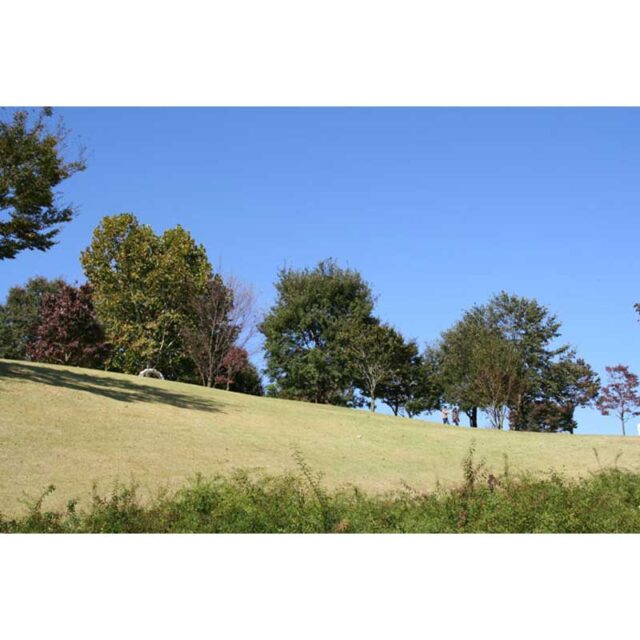 P0247 – sozaiya.com