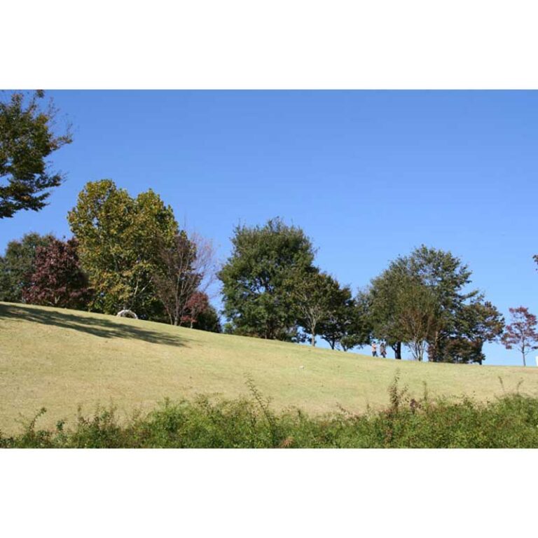 P0247 – sozaiya.com