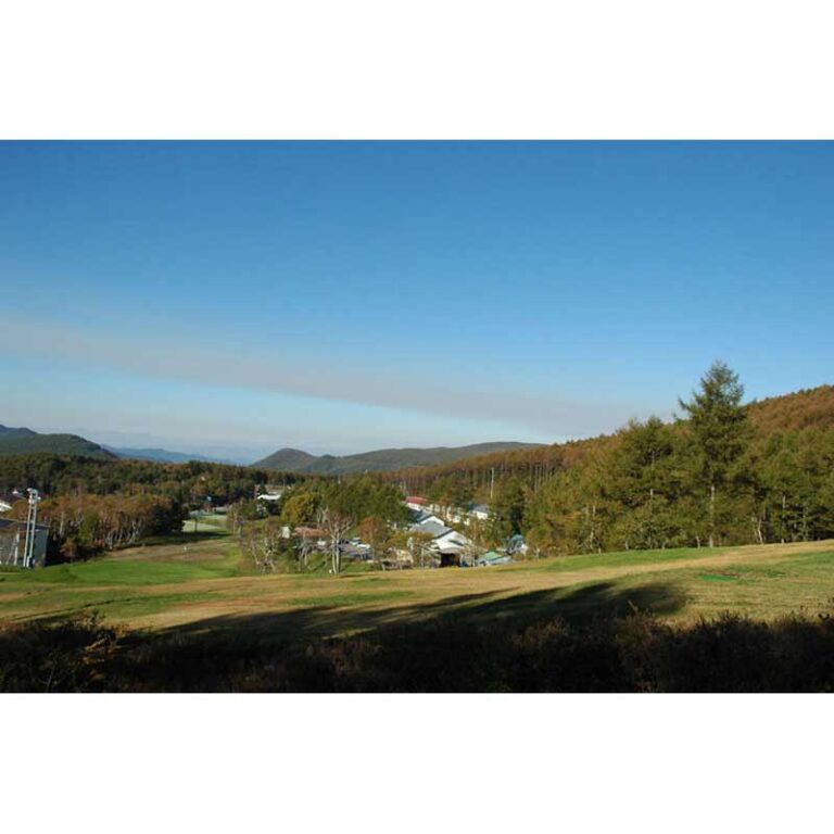 その他 – sozaiya.com