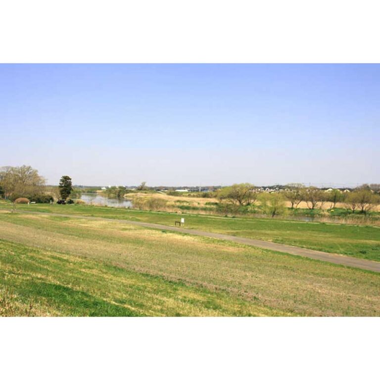 P0255 – sozaiya.com