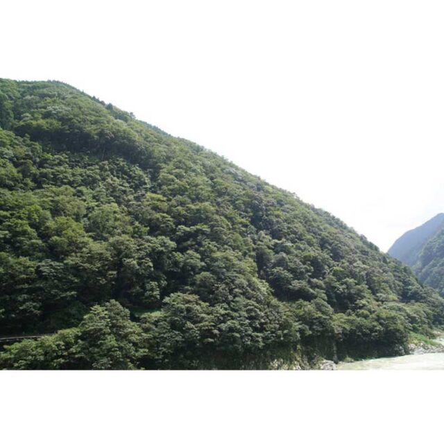 無料データ – ページ 8 – sozaiya.com