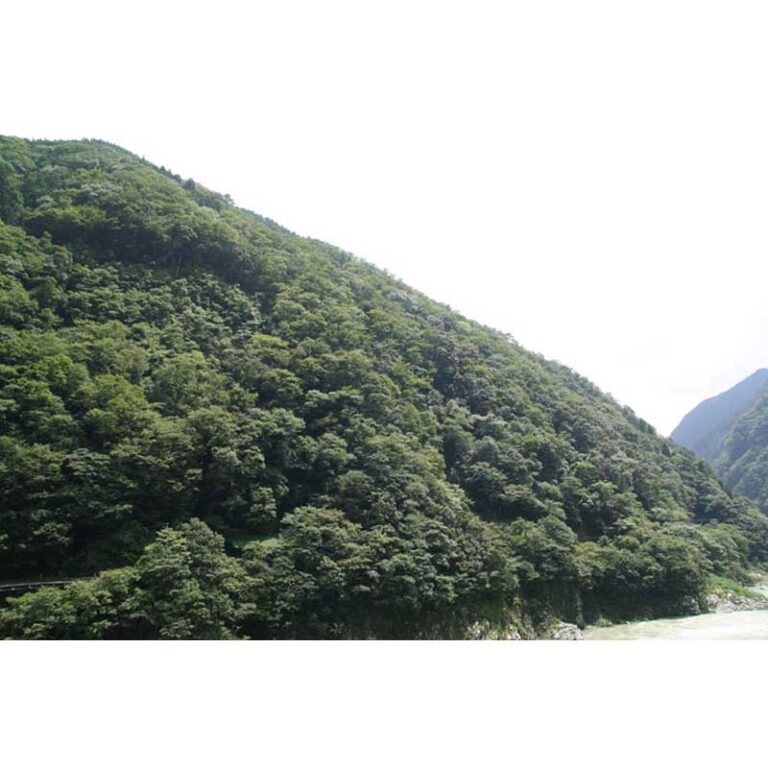 P0258 – sozaiya.com