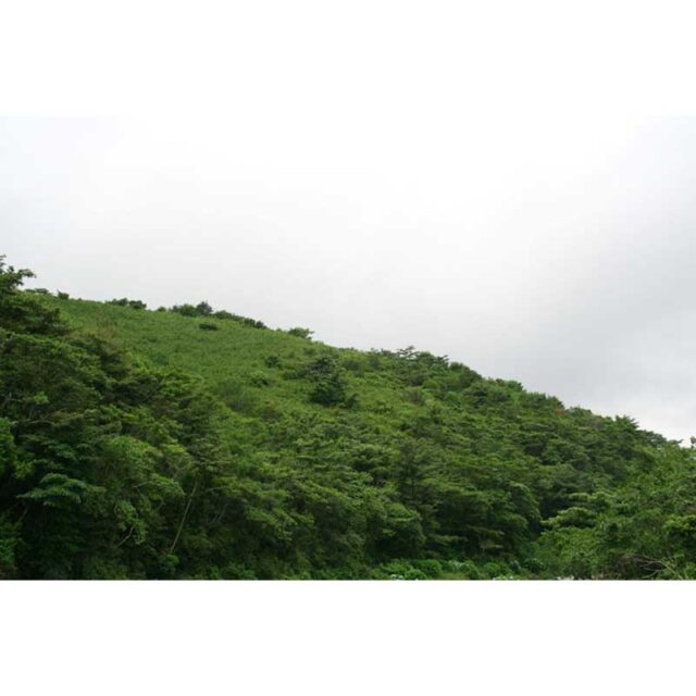 その他 – sozaiya.com