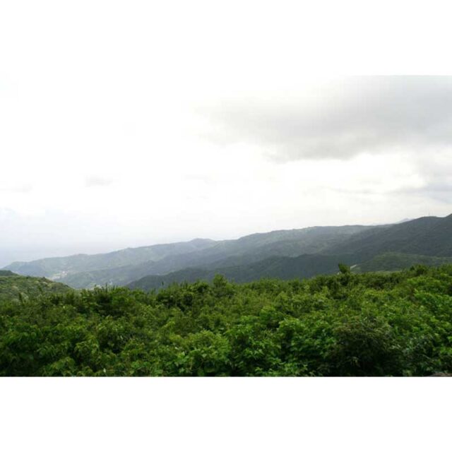 無料データ – ページ 8 – sozaiya.com