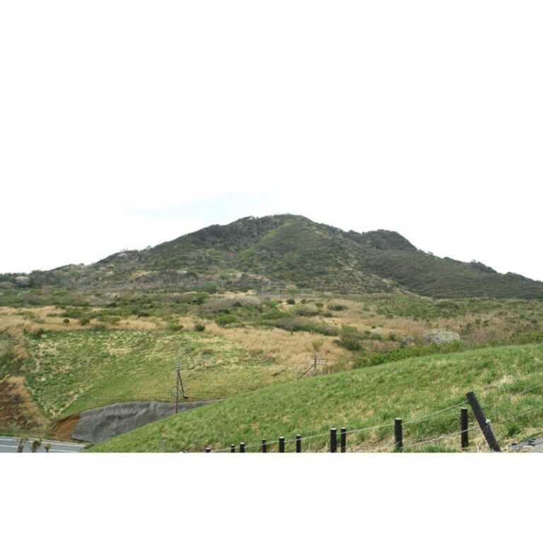 その他 – sozaiya.com