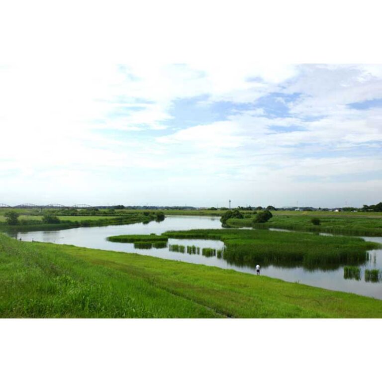 その他 – sozaiya.com