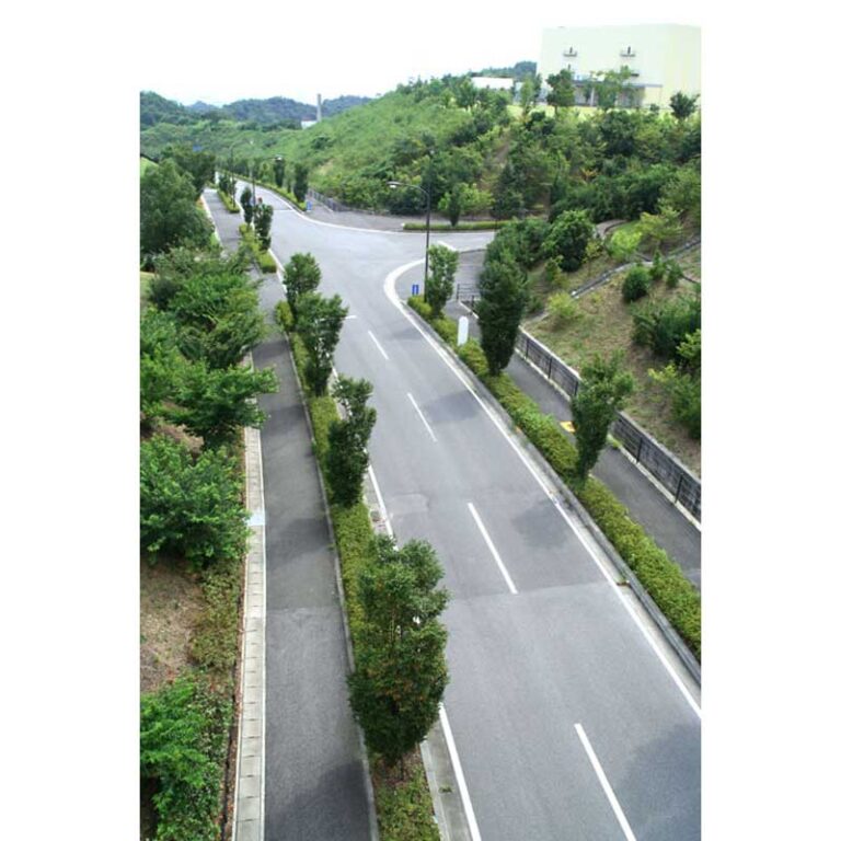 P0292 – sozaiya.com