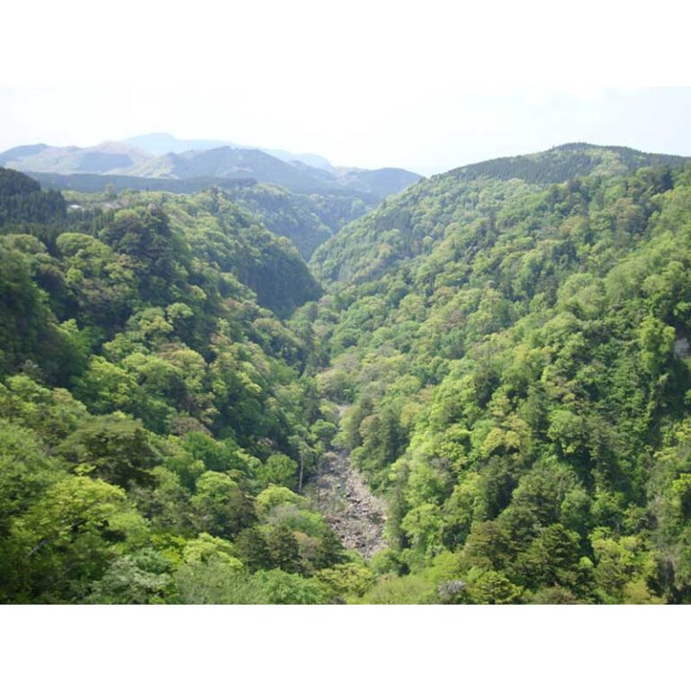 P0299 – sozaiya.com