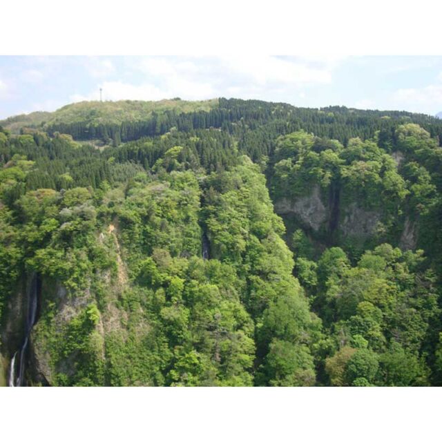 P0300 – sozaiya.com