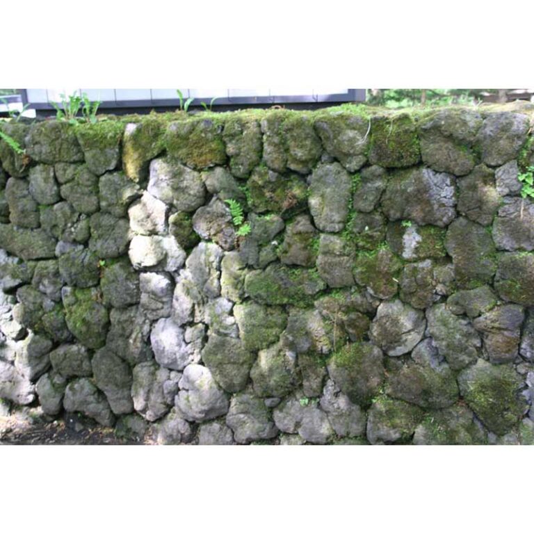 その他 – sozaiya.com