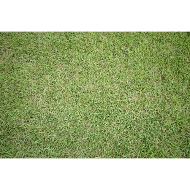 P0319 – sozaiya.com