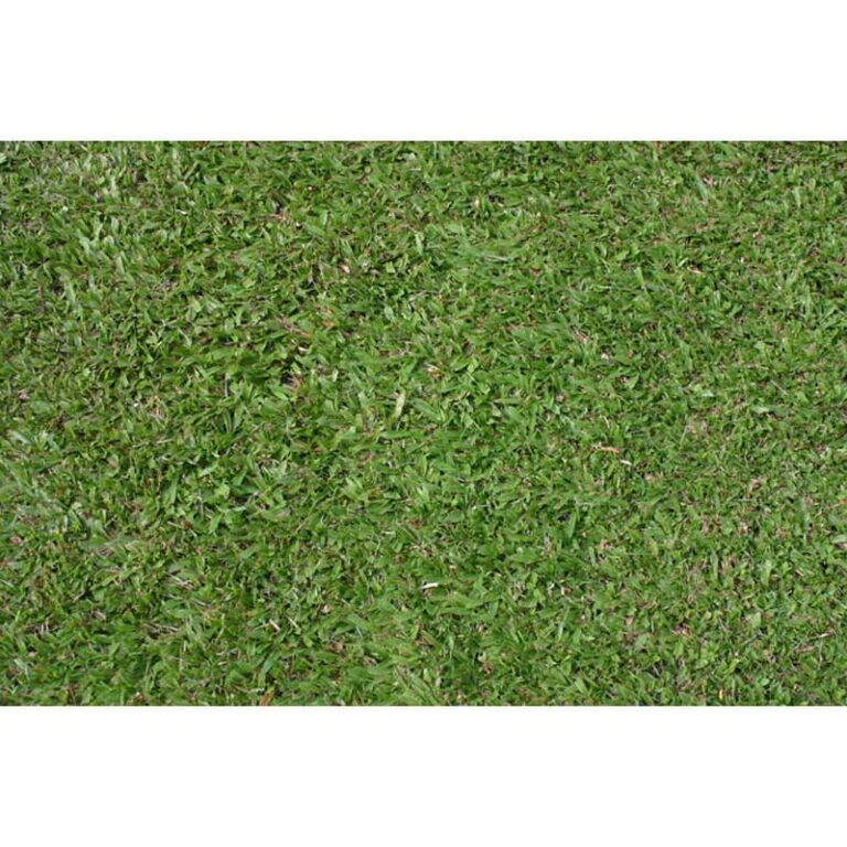 P0324 – sozaiya.com