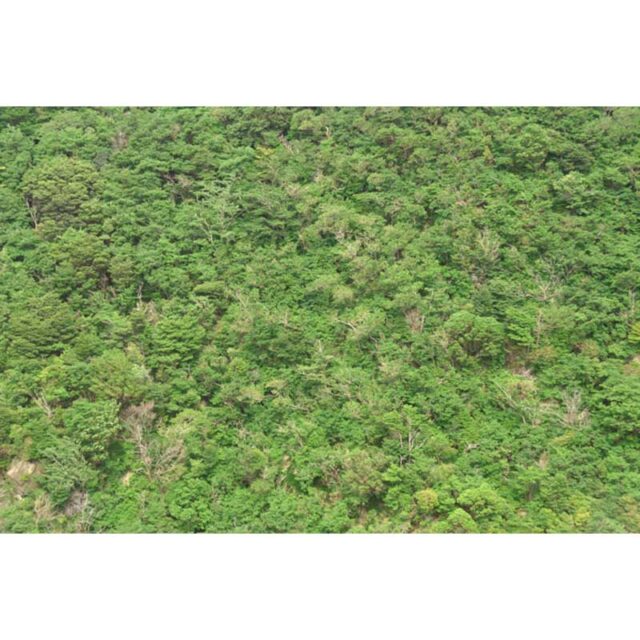 その他 – ページ 3 – sozaiya.com